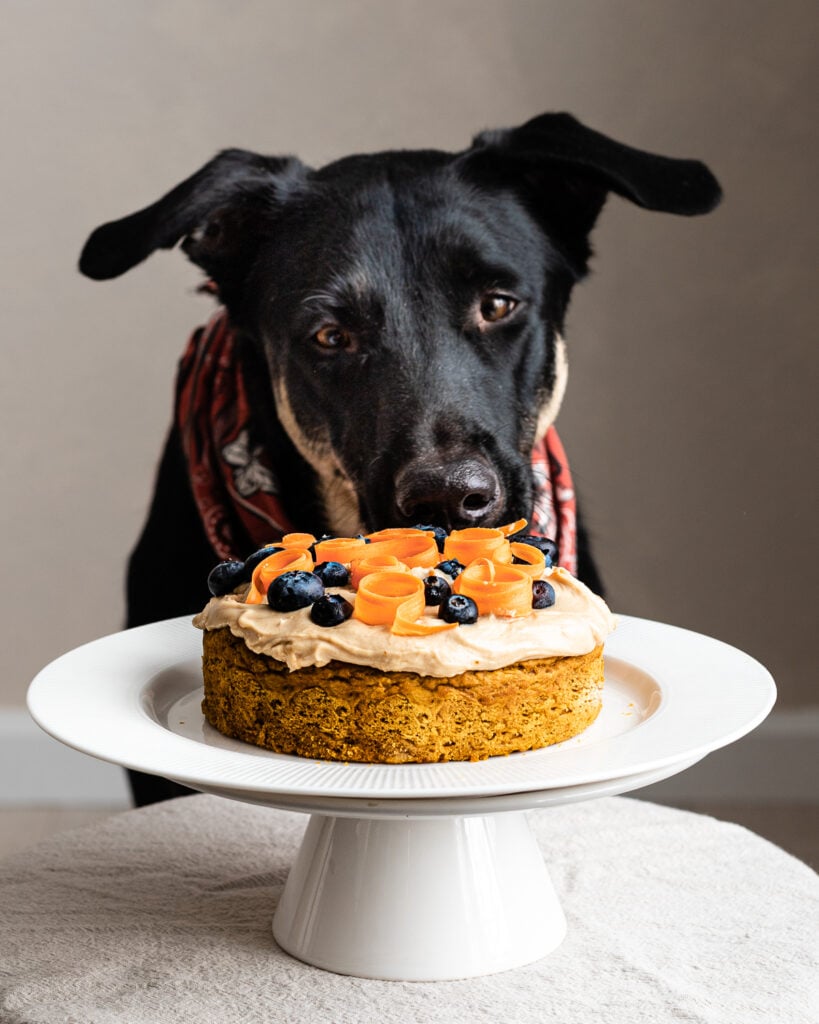 Sourdough Dog Cake - Make It Dough