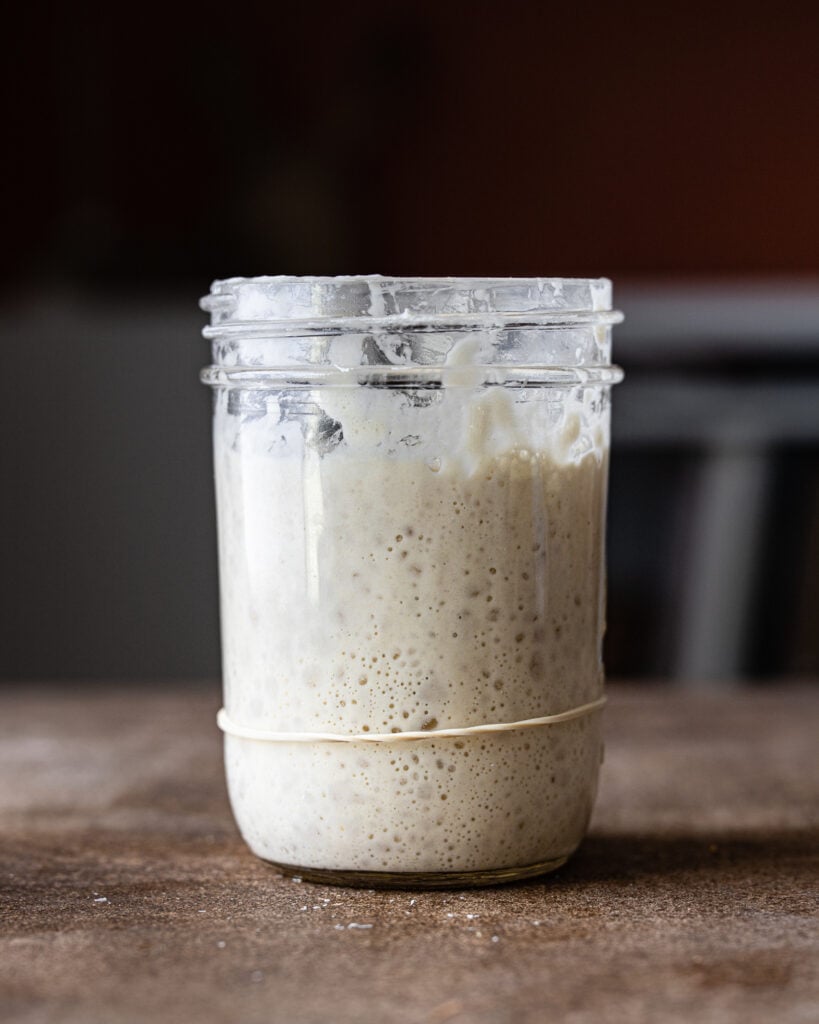 Active Sourdough Starter Recipes - Make It Dough